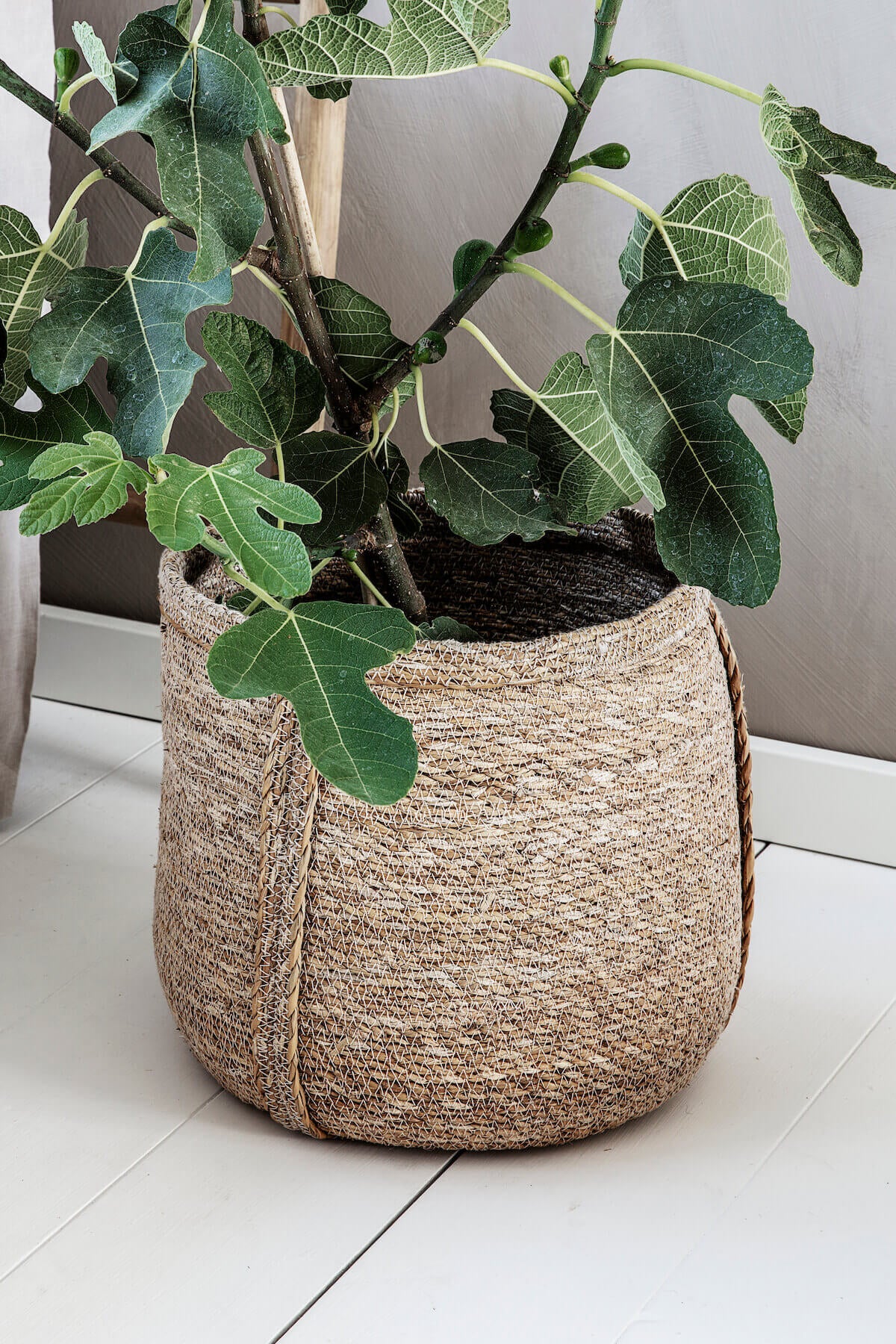 Seagrass Baskets | Sega Plant Basket | Sustainable, Handmade ...